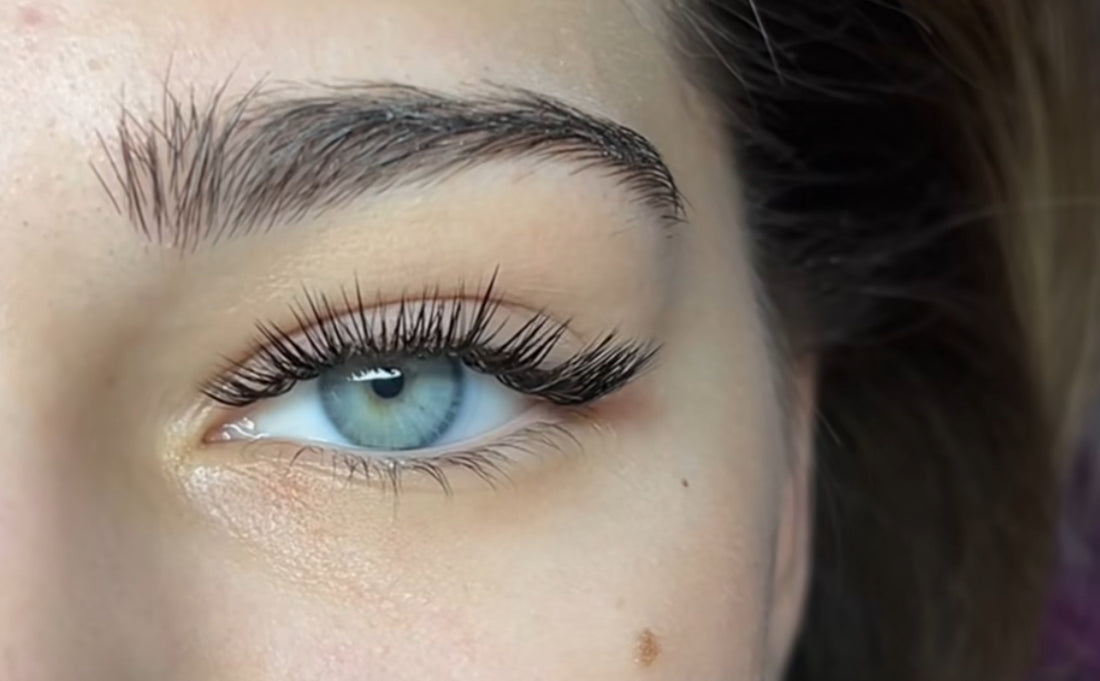 MAISHA LASH Professional